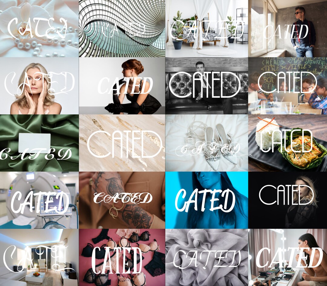 10+ Sophisticated Fonts "ttf, WOFF, WOFF2, PS, Formats Included" Fonts ...