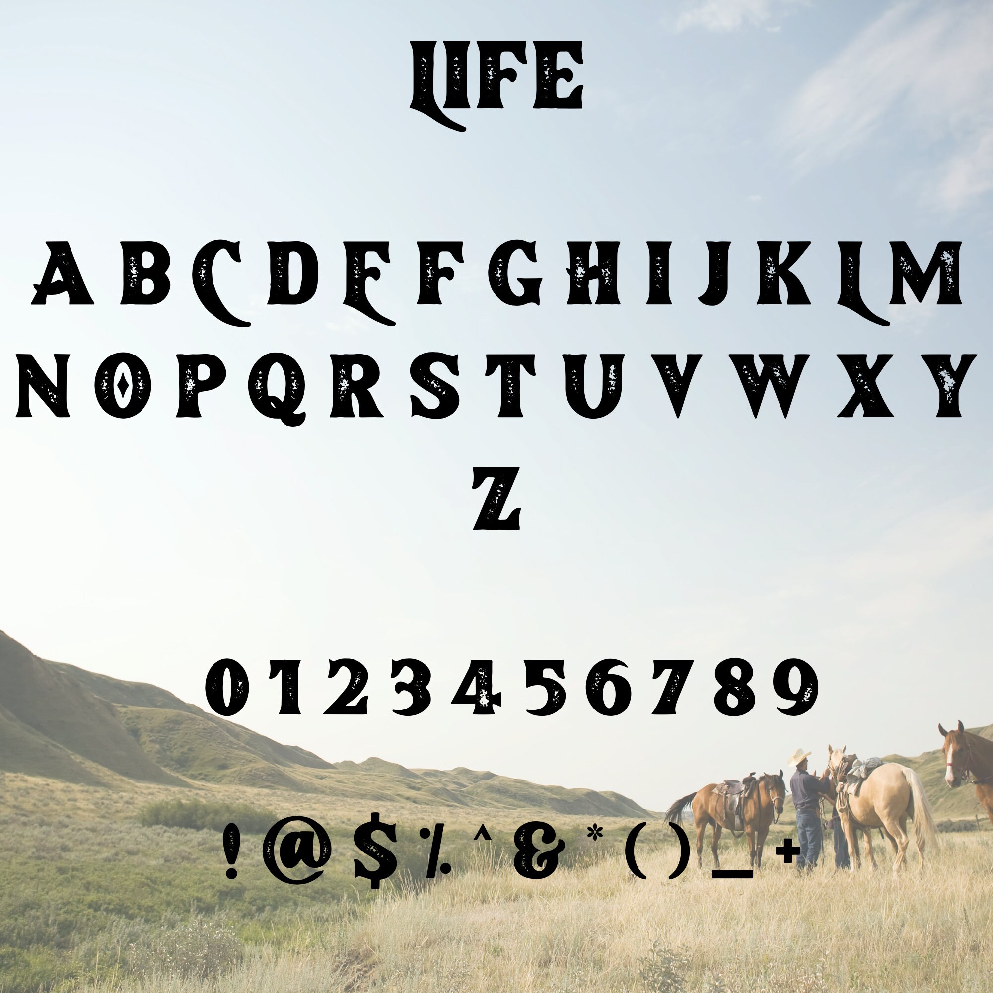 10 Western Font Bundle Canva Fonts, Circuit Fonts, Procreate Fonts ...