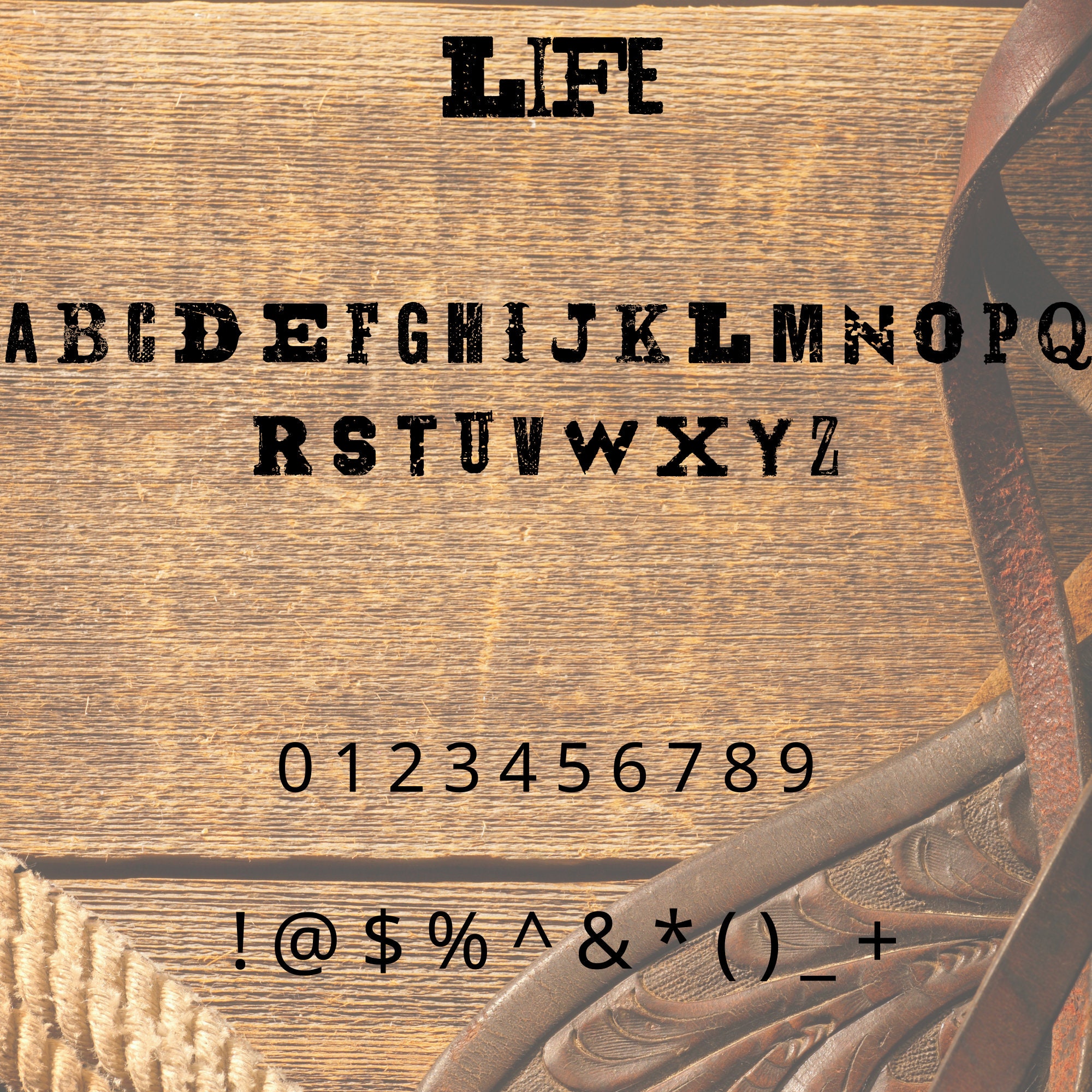 10 Western Font Bundle Canva Fonts, Circuit Fonts, Procreate Fonts ...