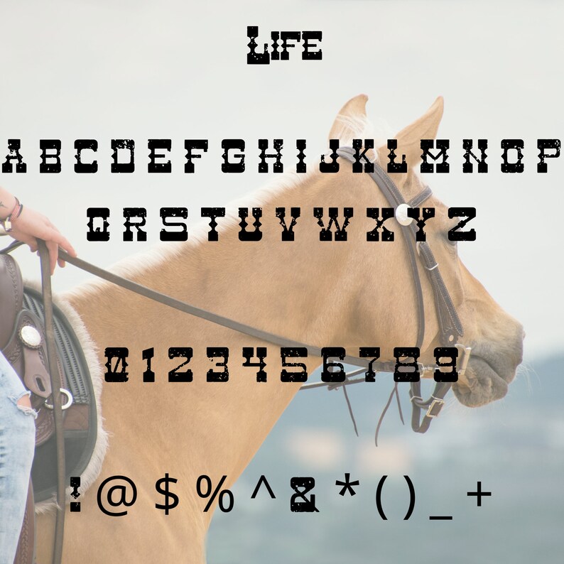 10 Western Font Bundle Canva Fonts, Circuit Fonts, Procreate Fonts ...