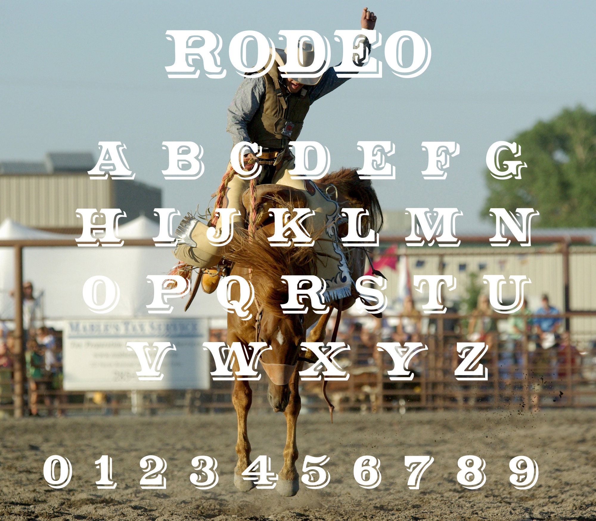 50+ Western Fonts "ttf, WOFF, WOFF2, PS, Formats Included" Fonts for ...