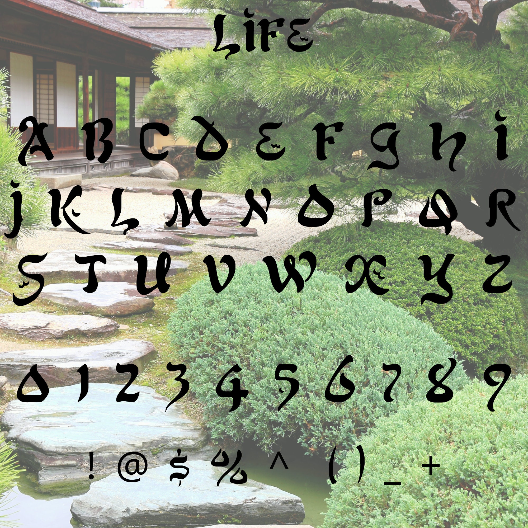 12 Japanese Fonts Bundle Canva Fonts, Cricut Fonts, Procreate Fonts ...