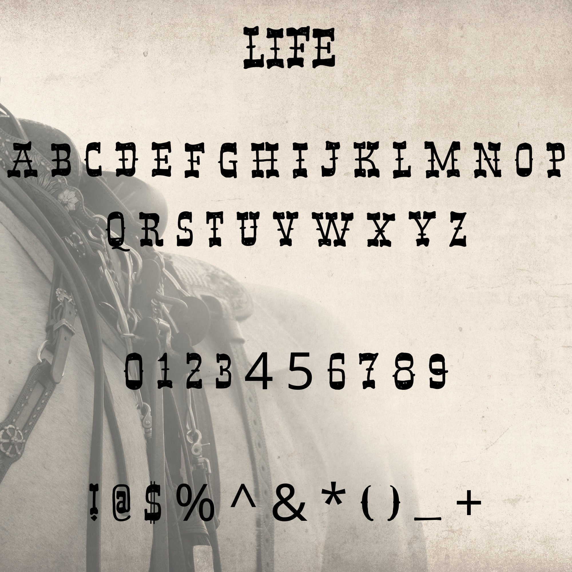 10 Western Font Bundle Canva Fonts, Circuit Fonts, Procreate Fonts ...