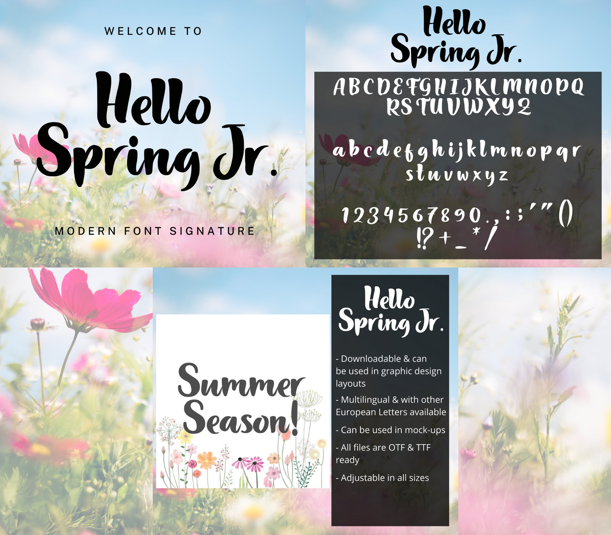 10 Spring Fonts Bundle Canva Fonts, Cricut Fonts, Procreate Fonts ...