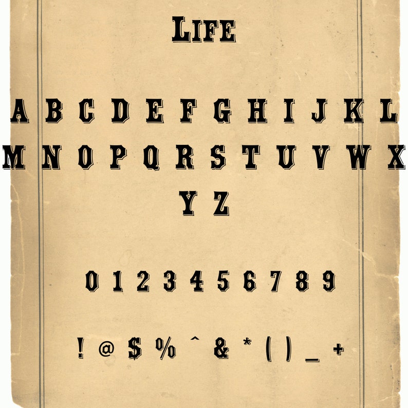 10 Western Font Bundle Canva Fonts, Circuit Fonts, Procreate Fonts ...