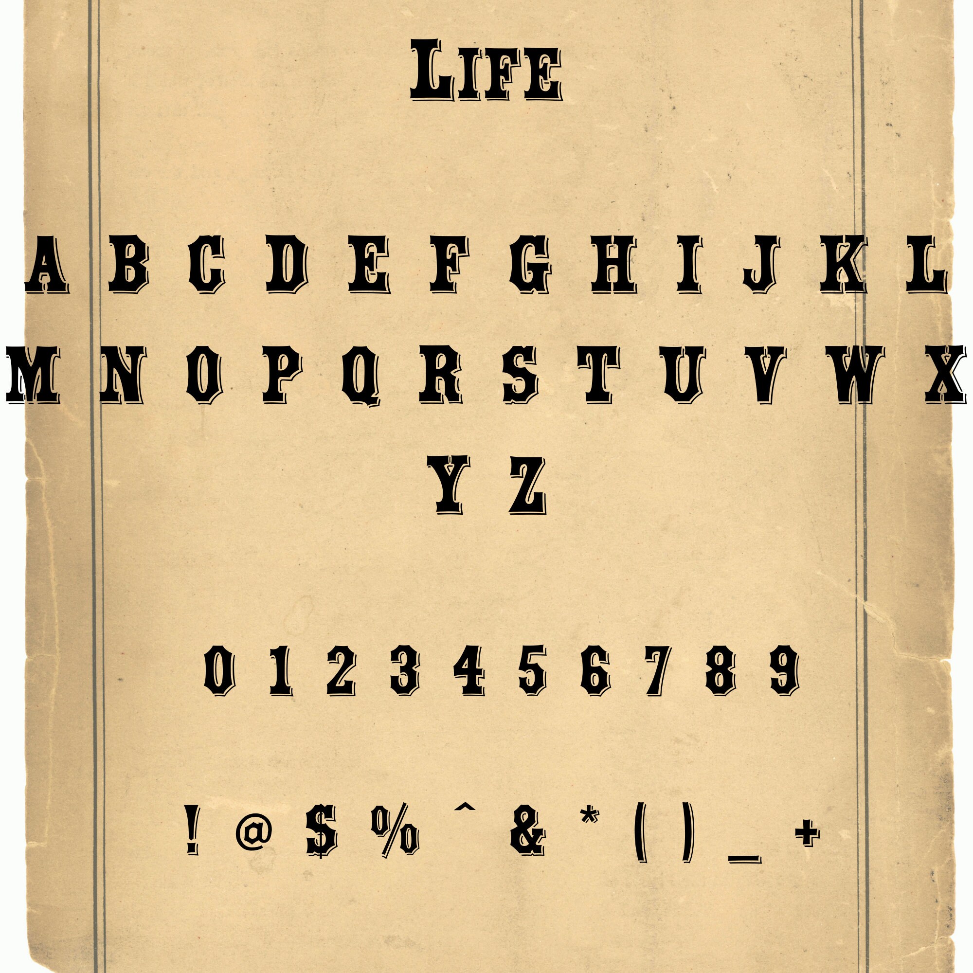 10 Western Font Bundle Canva Fonts, Circuit Fonts, Procreate Fonts, Branding Fonts, Commercial ...