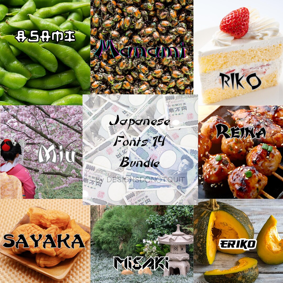 10 Japanese Fonts Bundle Canva Fonts, Circuit Fonts, Procreate Fonts ...