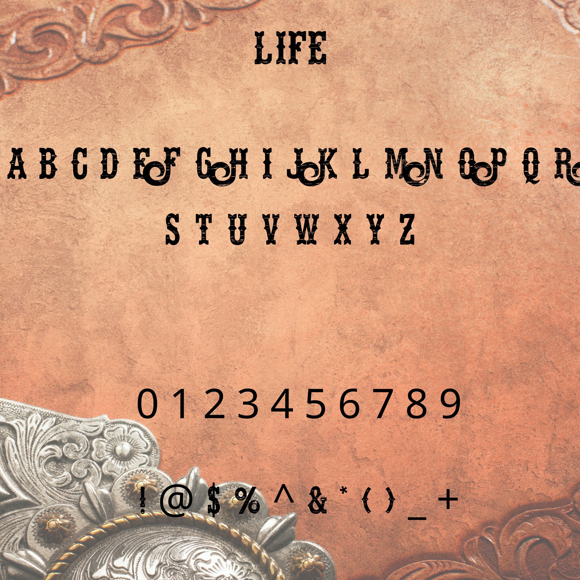 10 Western Font Bundle Canva Fonts, Circuit Fonts, Procreate Fonts ...