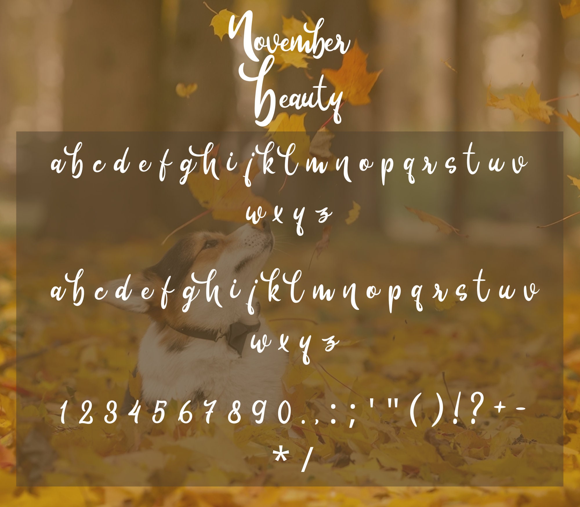 10 Autumn Fonts Bundle Canva Fonts, Cricut Fonts, Procreate Fonts ...