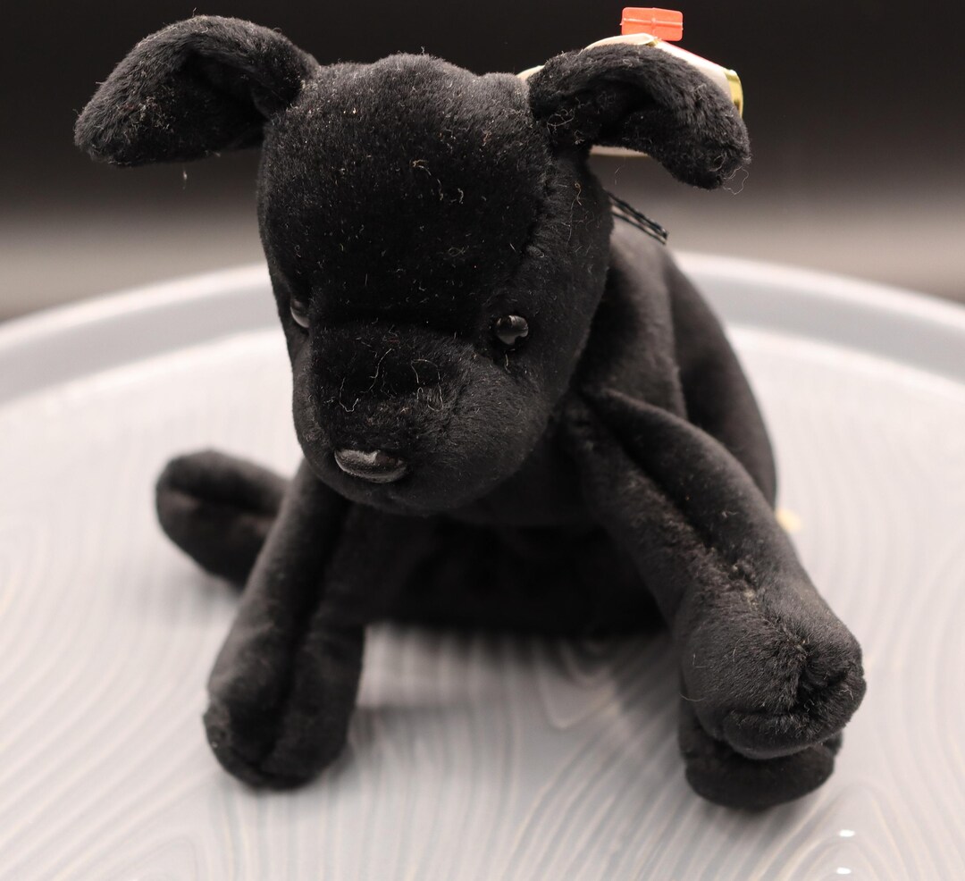 Vintage Ty Original Beanie Baby Luke the Dog - Etsy