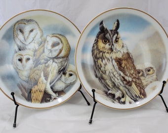 Hand Painted Owl Plate - Etsy