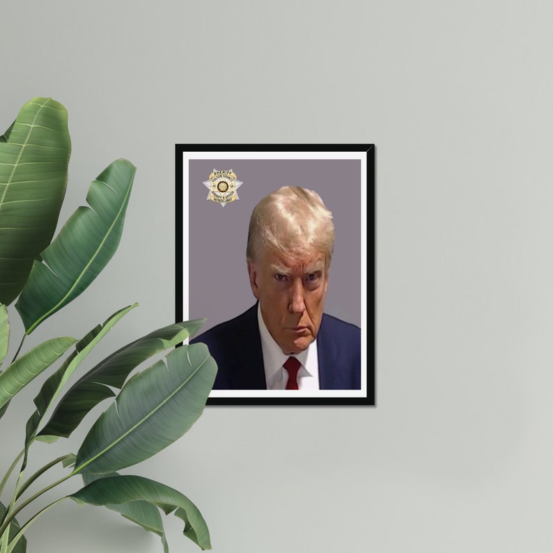 Iconic Trump Mugshot Digital Download High Super Quality Image - Etsy