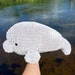 Crochet Manatee Pattern PDF Digital Download Only - Etsy