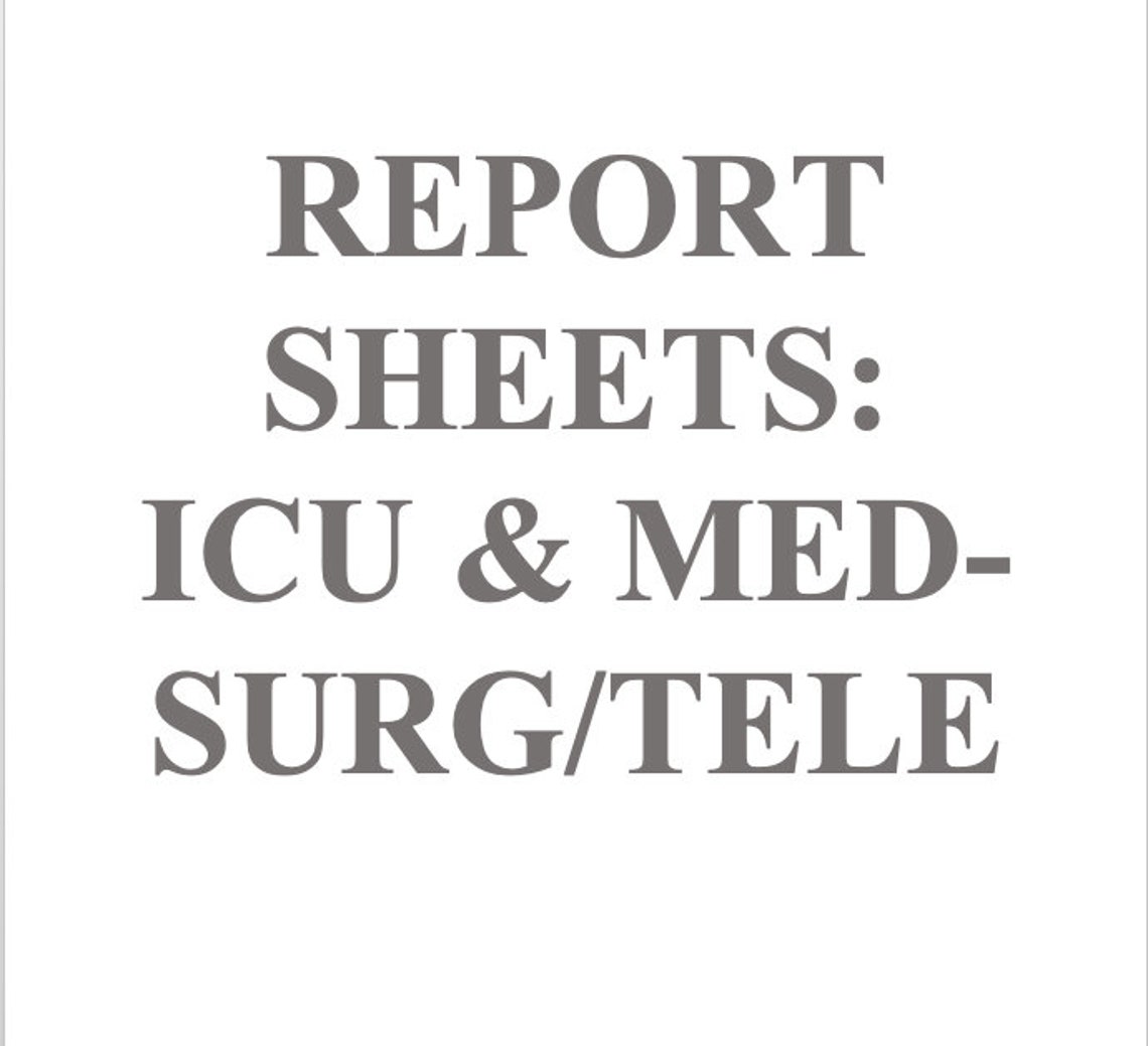 Nursing Report Sheets Etsy