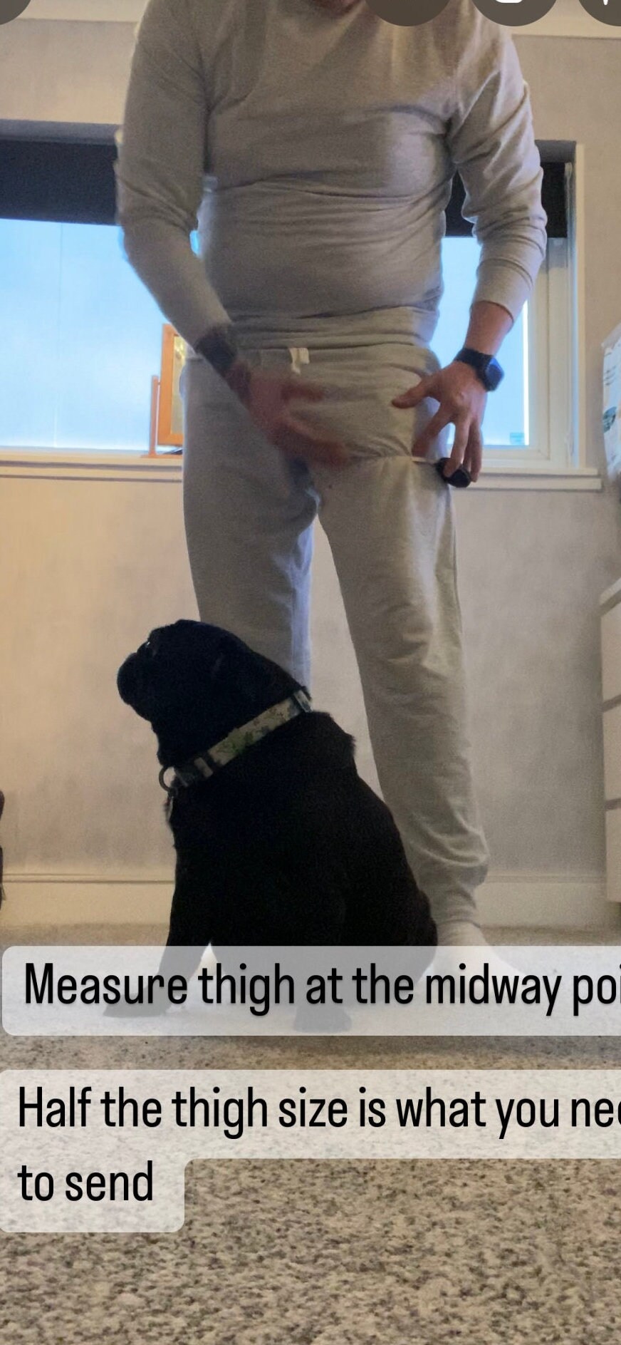 FTM Stp Harness, - Etsy