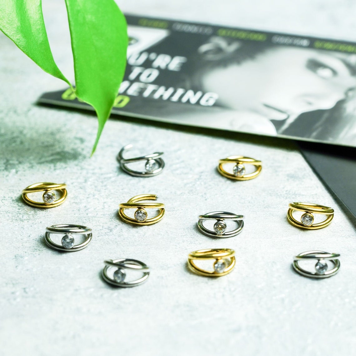 Double Hoop Single Jewel Titanium Hinged Segment Ring | Titanium Nose ...