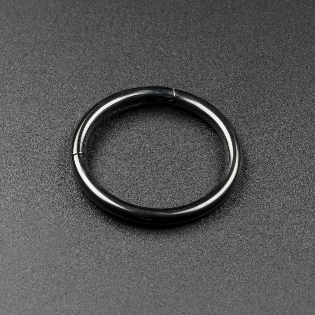 Black PVD Titanium Hinged Segment Ring | Titanium Nose Rings | Hinged ...