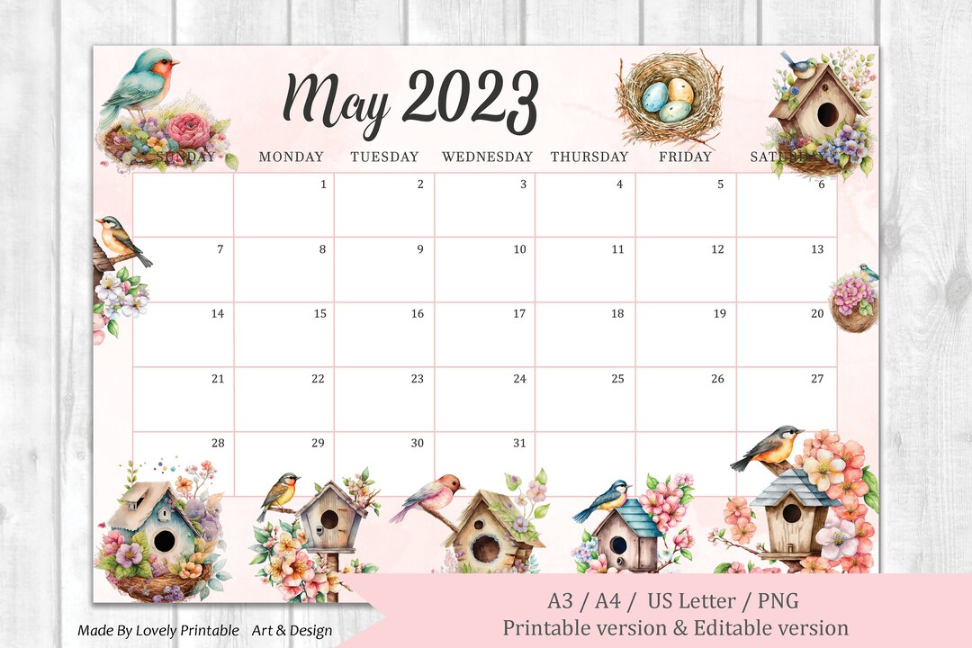 EDITABLE May 2023 Calendar Watercolor Spring Bird Planner - Etsy