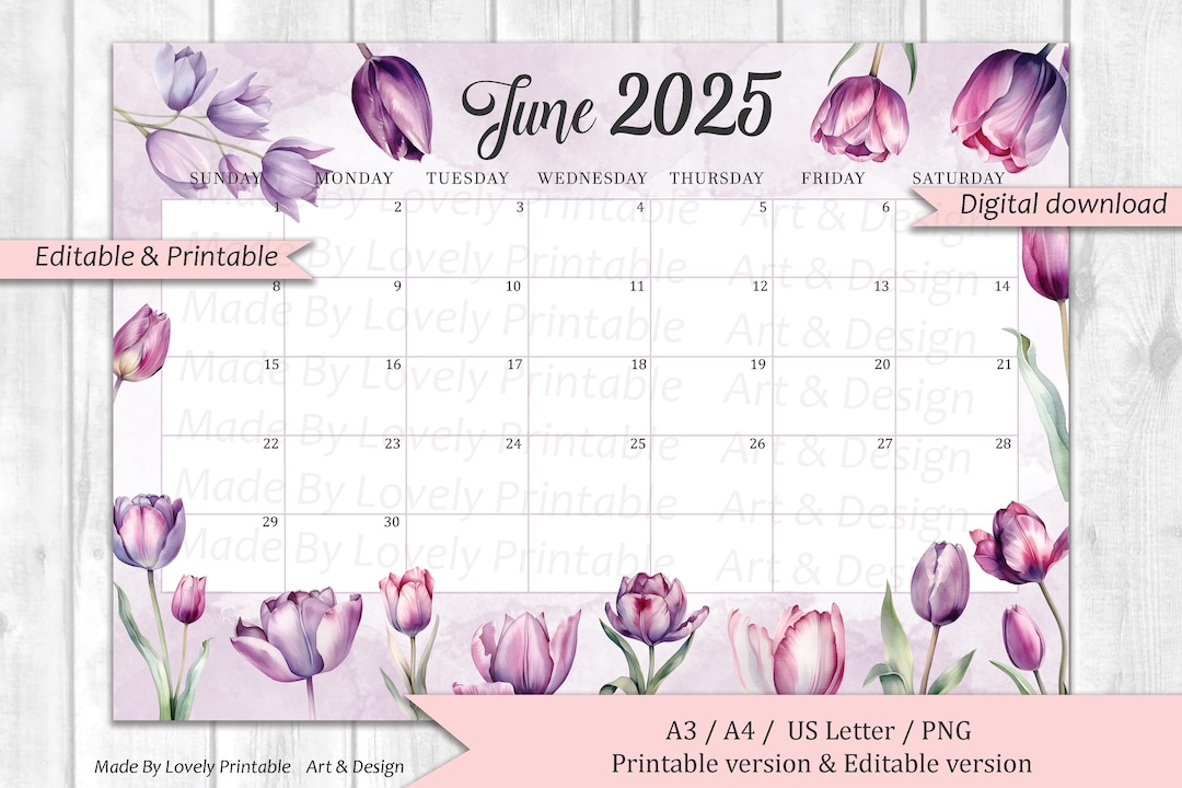 EDITABLE August 2024 Calendar, Retro Aesthetic 70s Daisy, Retro Styled ...