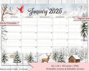 EDITABLE January 2025 Calendar, New Year Planner, Printable Monthly ...