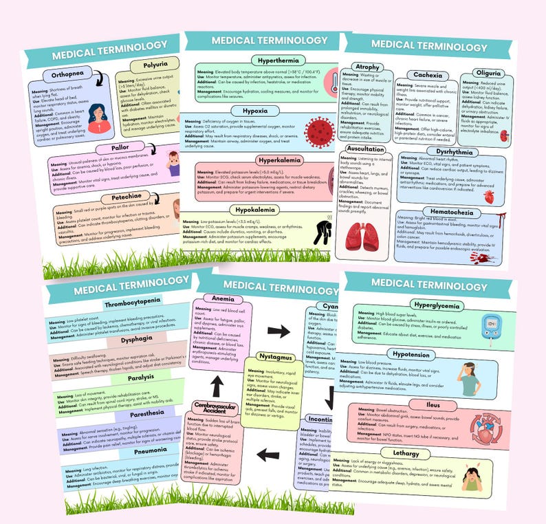Medical Terminology Cheat Sheet 2025-26 – Nursing Student Study Guide ...