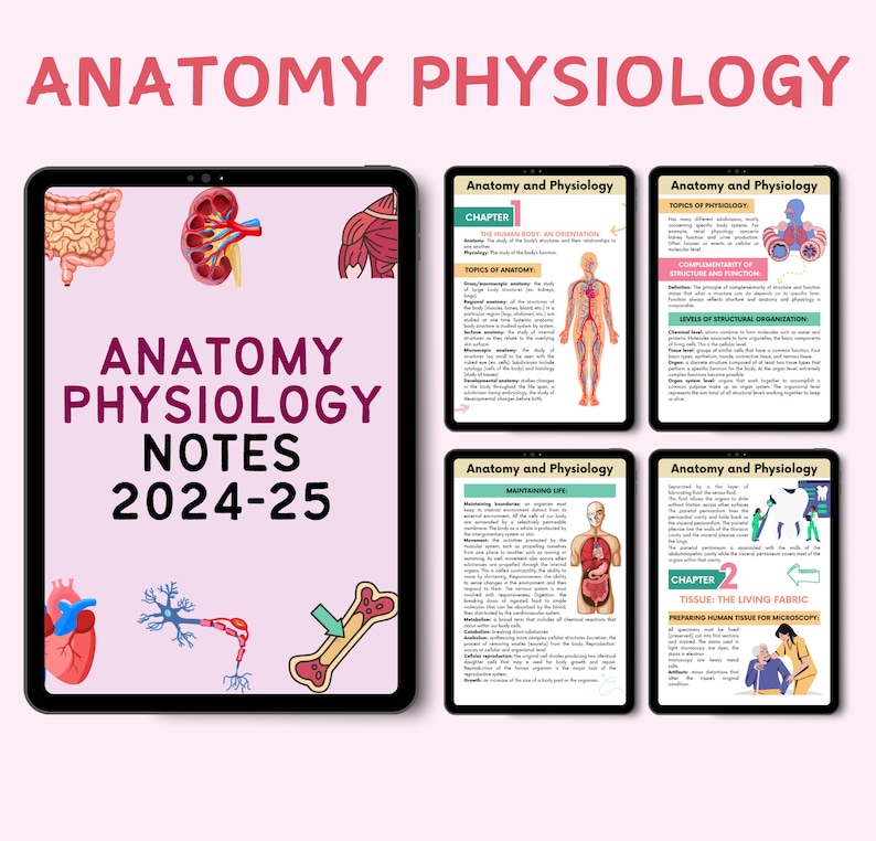 Anatomy, Biology, Microbiology Notes Bundle (PDF) - Etsy