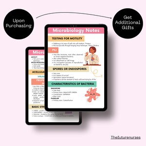 Microbiology Study Guide Bundle: Nursing & Medical Students (2025 ...
