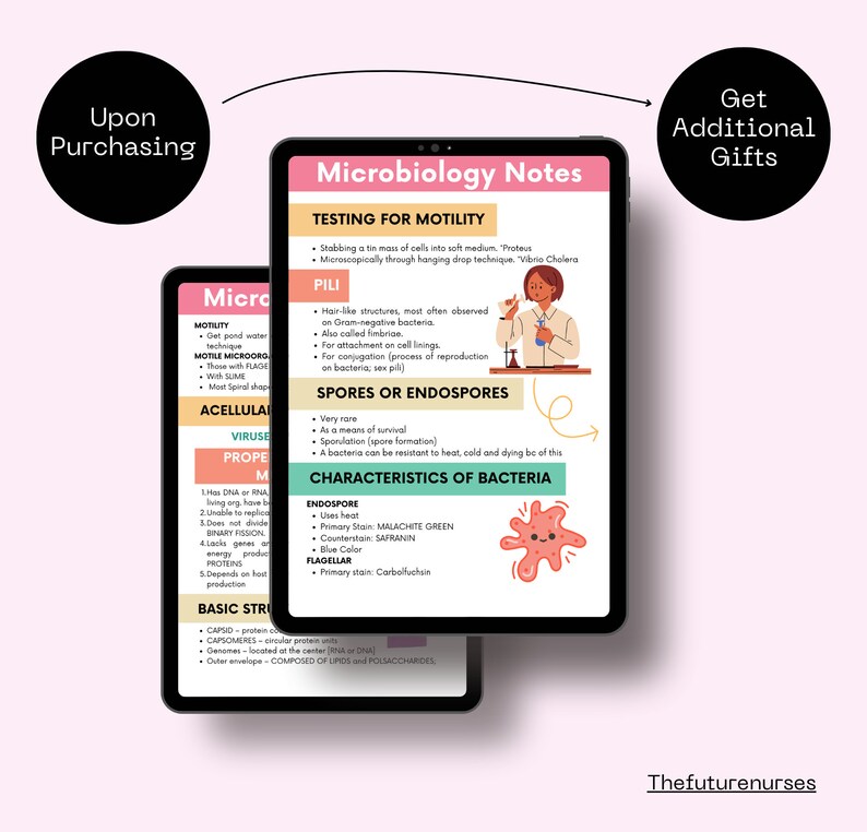 Microbiology Study Guide Bundle: Nursing & Medical Students (2025 ...