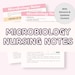 Microbiology Study Guide Bundle: Nursing & Medical Students (2025 ...