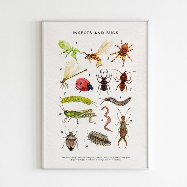 Insect Wall Hanging - Etsy