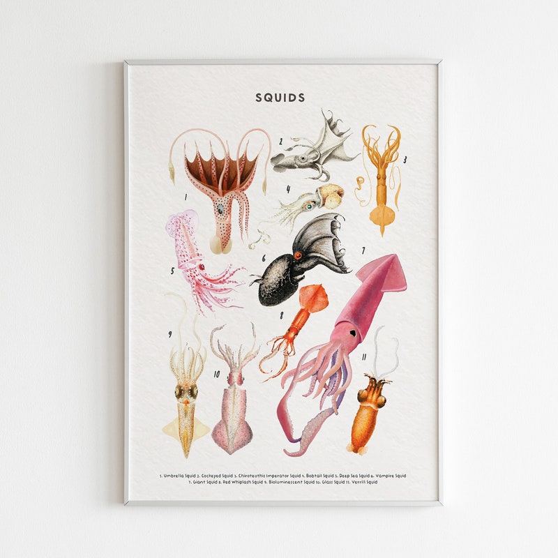 Squids Game Poster - Etsy