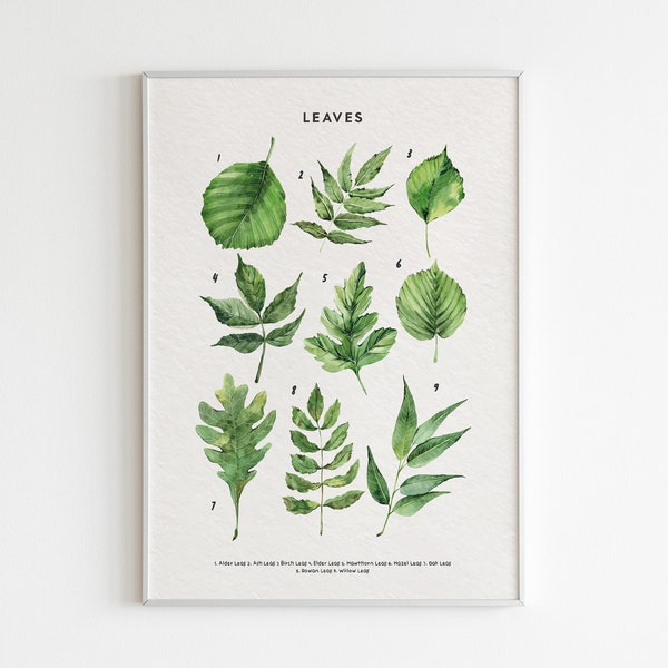 Leaf Print - Etsy