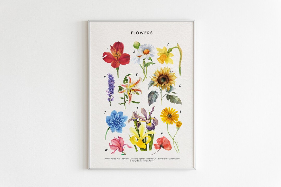 Educational Flowers Poster: Montessori Nursery Decor (digital Download ...