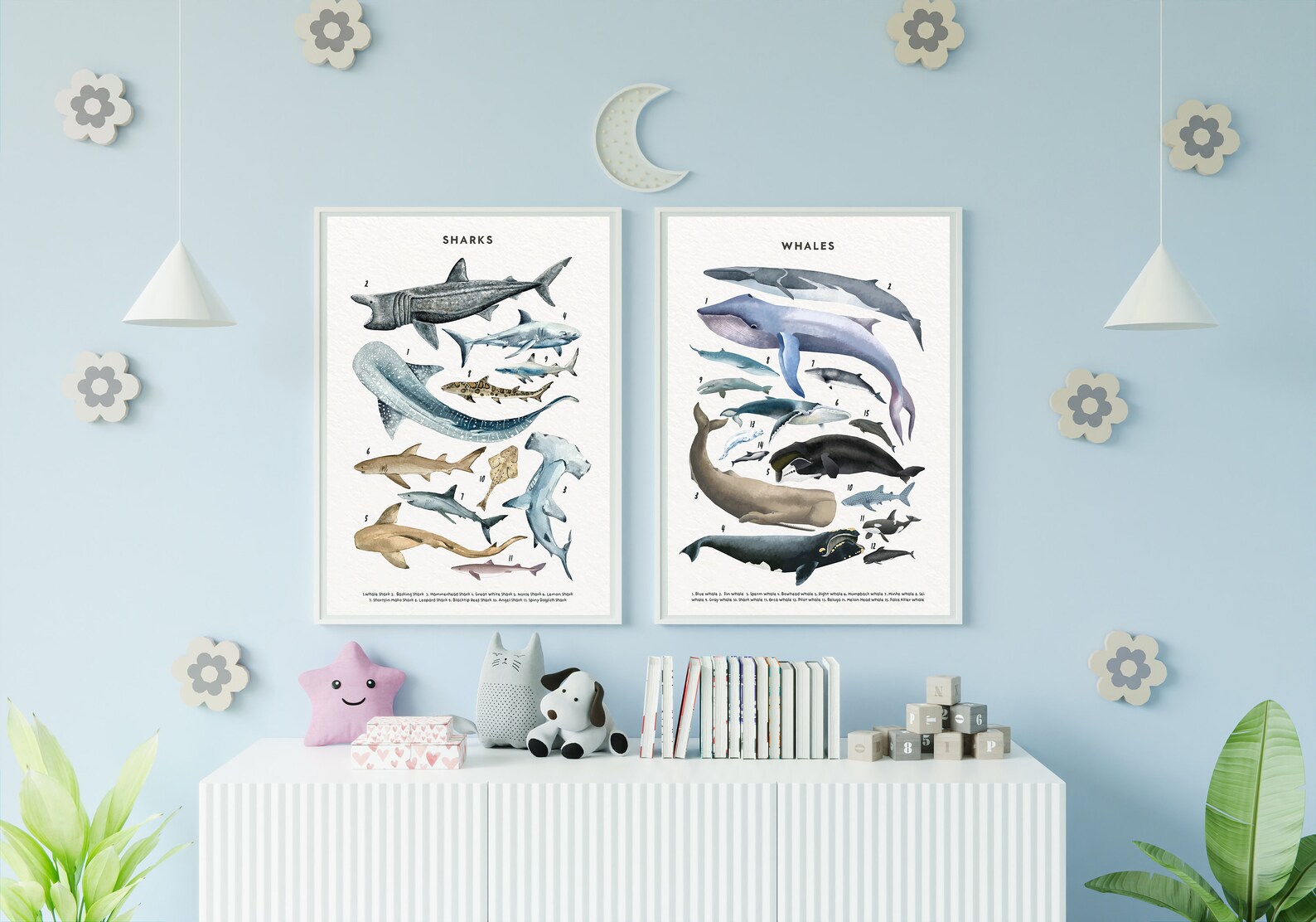 Whale and Shark Poster Sea Animal Poster Marine Ocean - Etsy