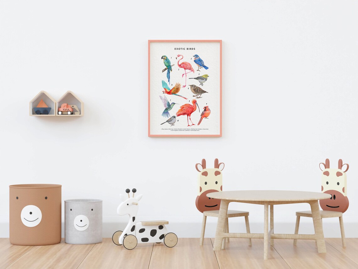 Educational Exotic Birds Poster Bird Poster Nature - Etsy