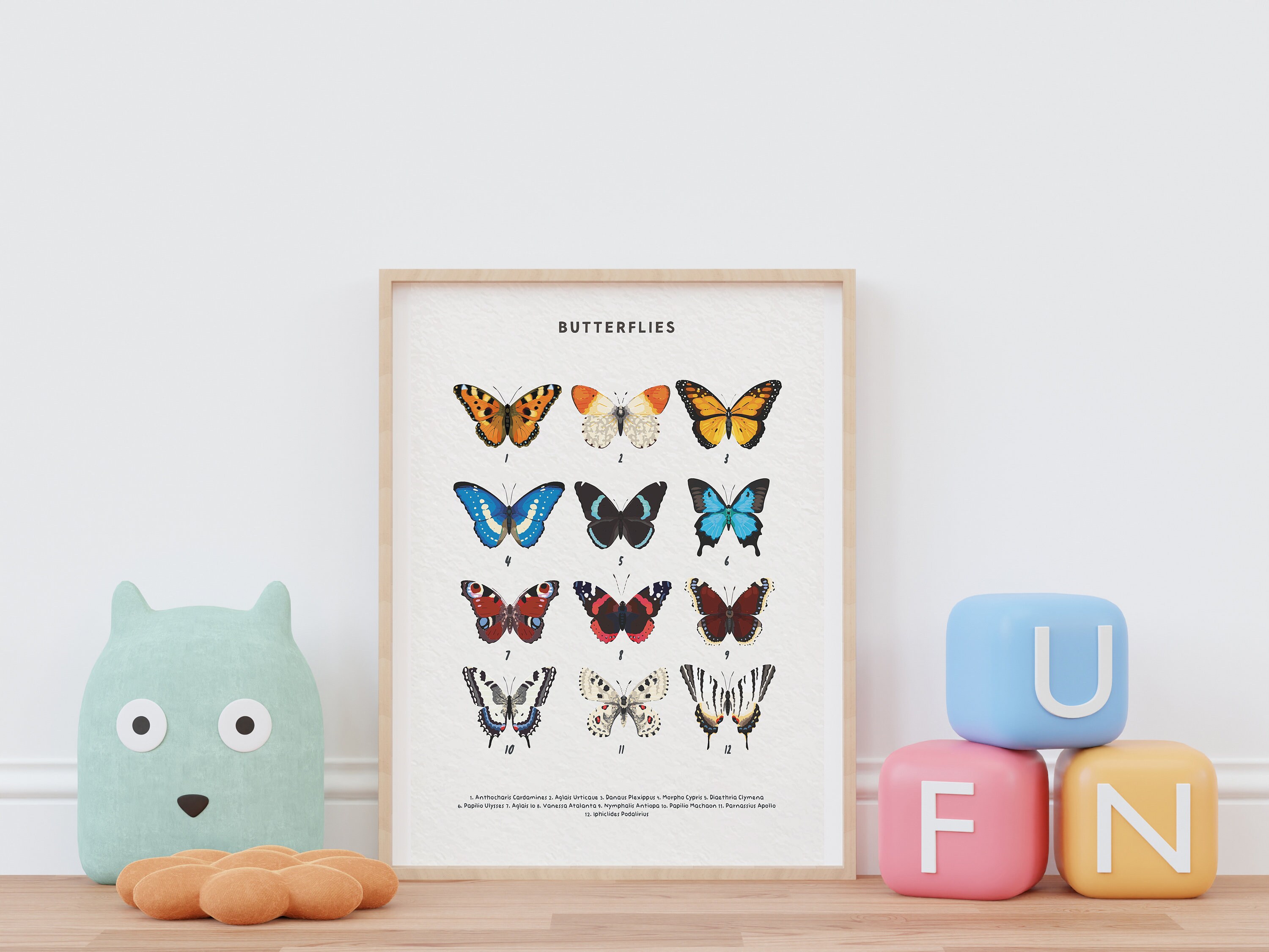 Butterfly Chart Print: Educational Montessori Classroom Decor (digital ...
