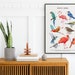 Educational Exotic Birds Poster, Bird Poster, Nature, Educational ...