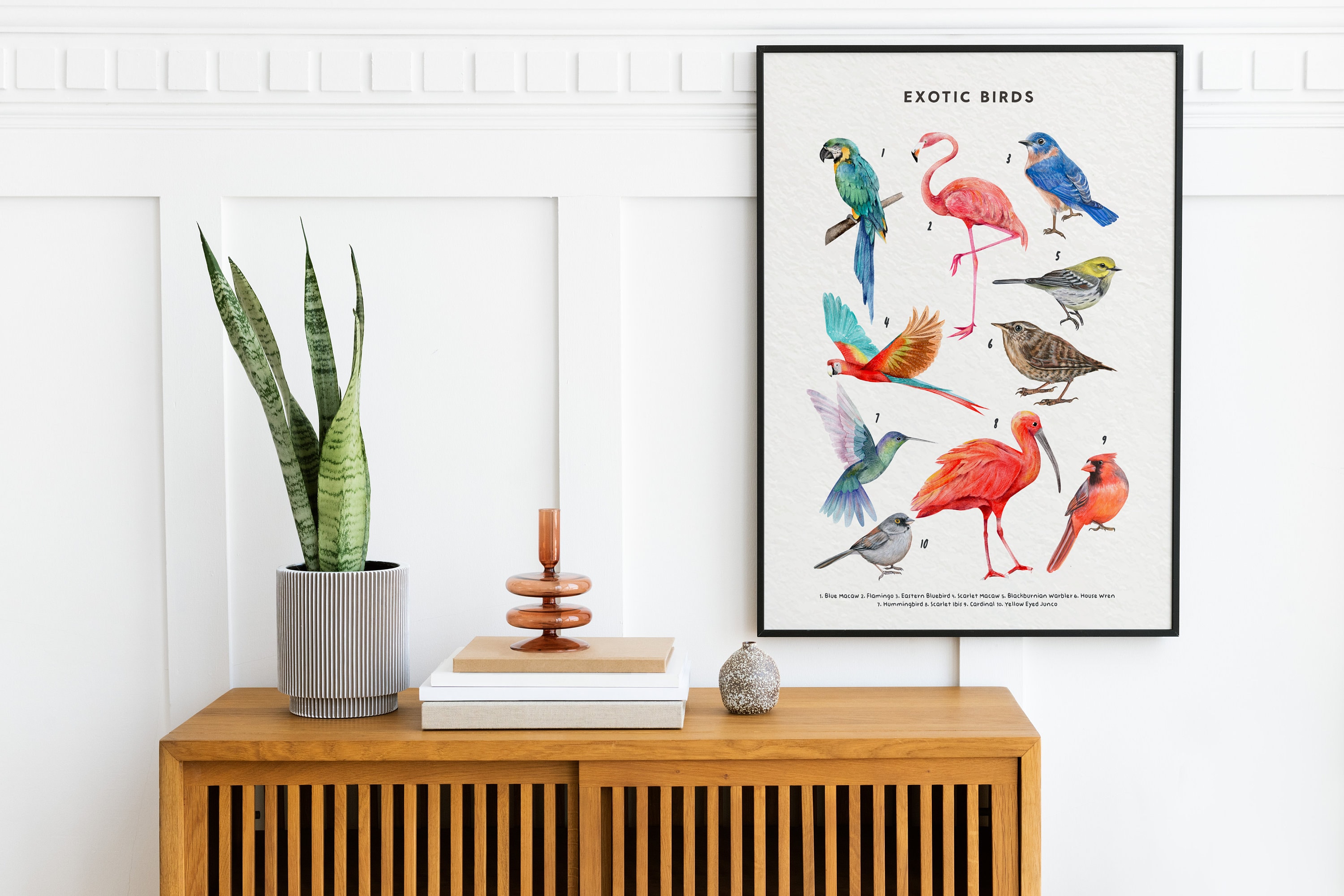 Educational Exotic Birds Poster, Bird Poster, Nature, Educational ...