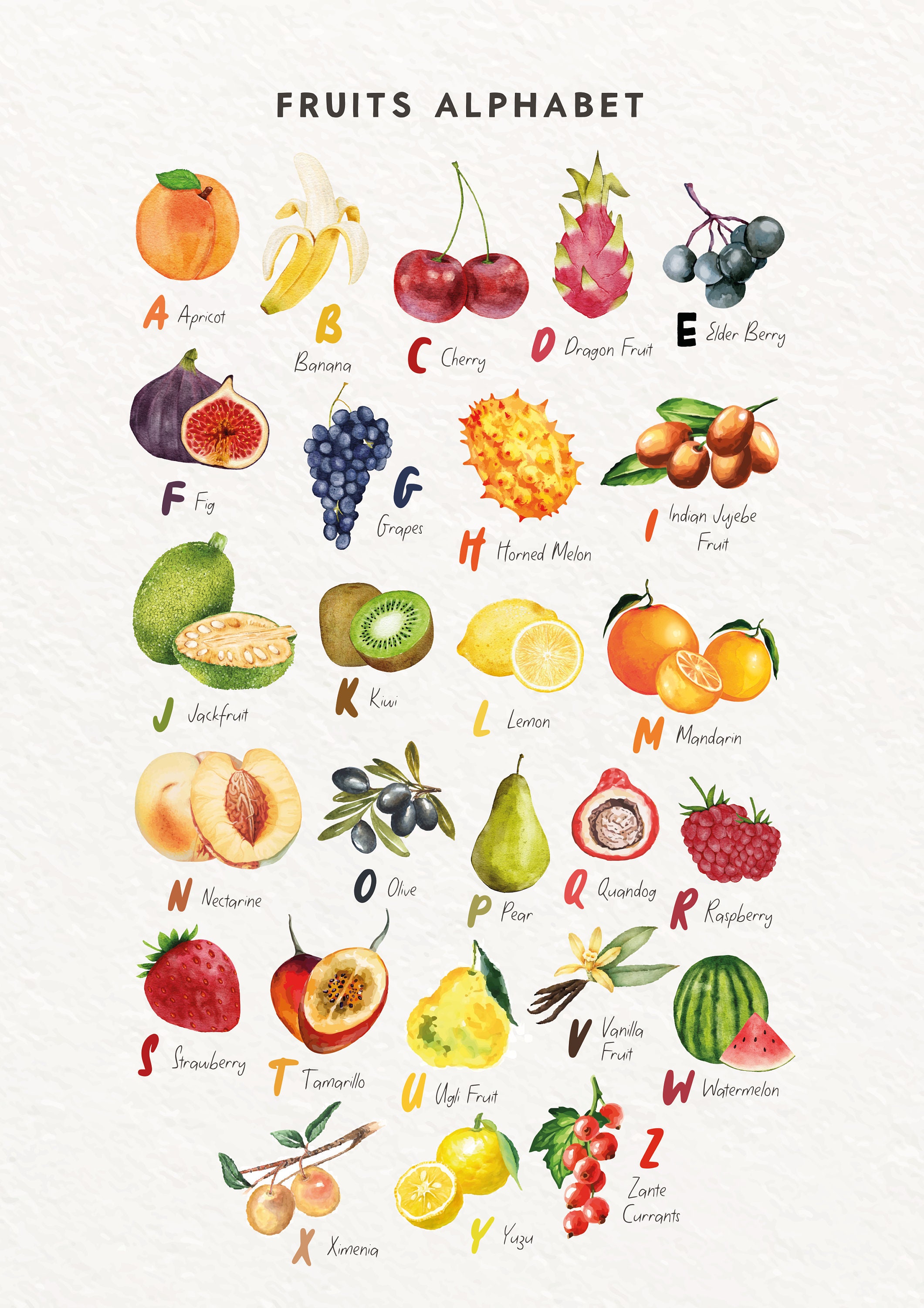 Fruits Alphabet Print, Montessori Educational Poster, Preschool ...