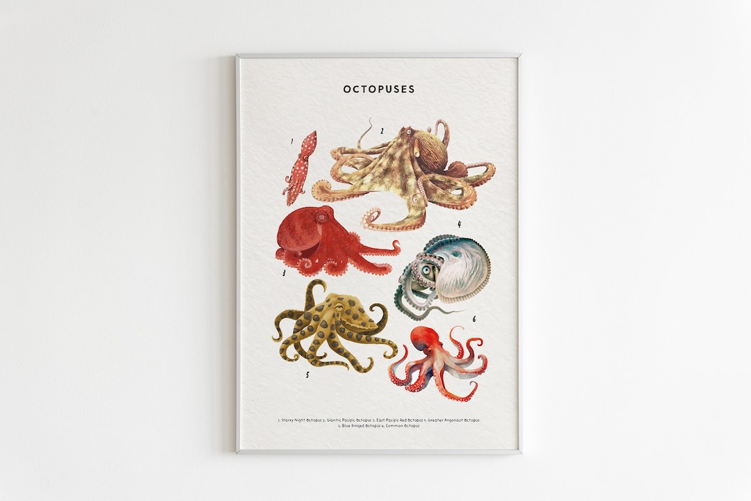 Octopuses Print, Educational Prints, Octopus Species, Ocean Animals ...