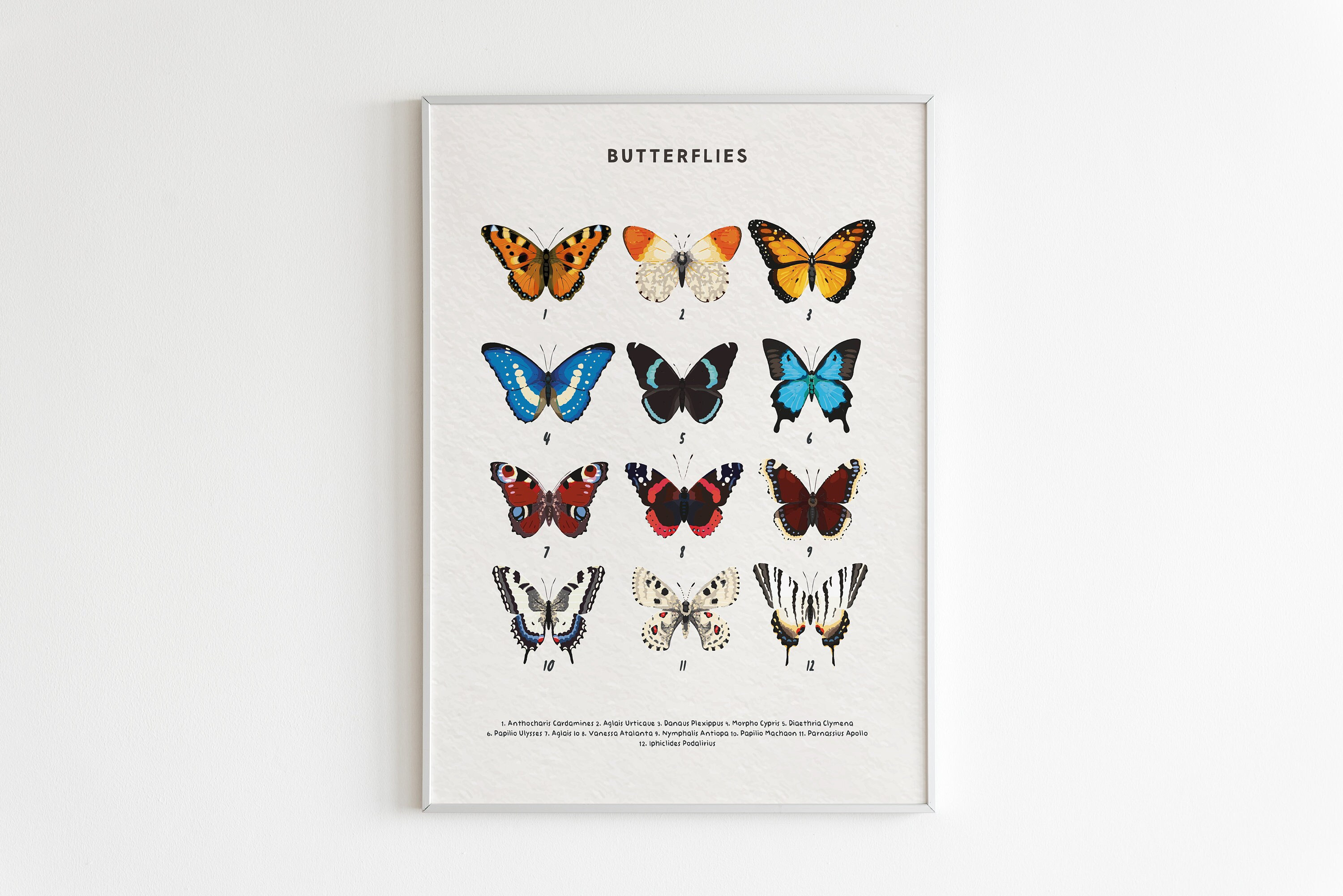 Butterfly Print, Educational Print, Butterfly Chart, Printable Wall Art ...
