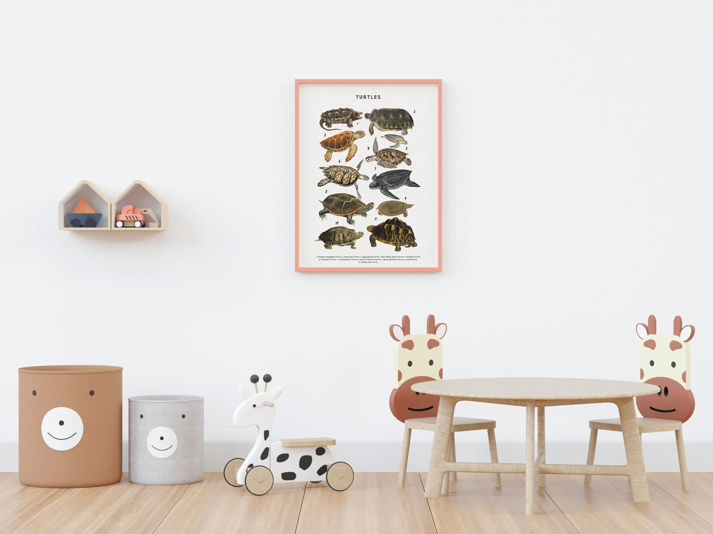 Turtles Print, Educational Prints, Turtle Species, Turtles Educational ...