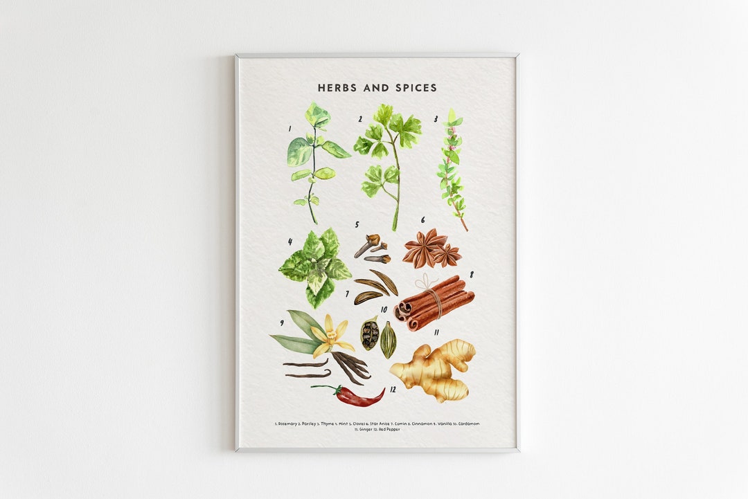 Herbs and Spices Kitchen and Educational Wall Art Poster, Printable ...