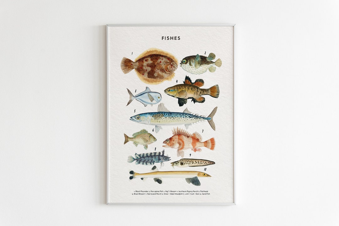 Fishes Print, Educational Nursery Prints, Fishing Wall Art, Printable ...