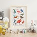Educational Exotic Birds Poster, Bird Poster, Nature, Educational ...