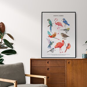 Educational Exotic Birds Poster, Bird Poster, Nature, Educational ...