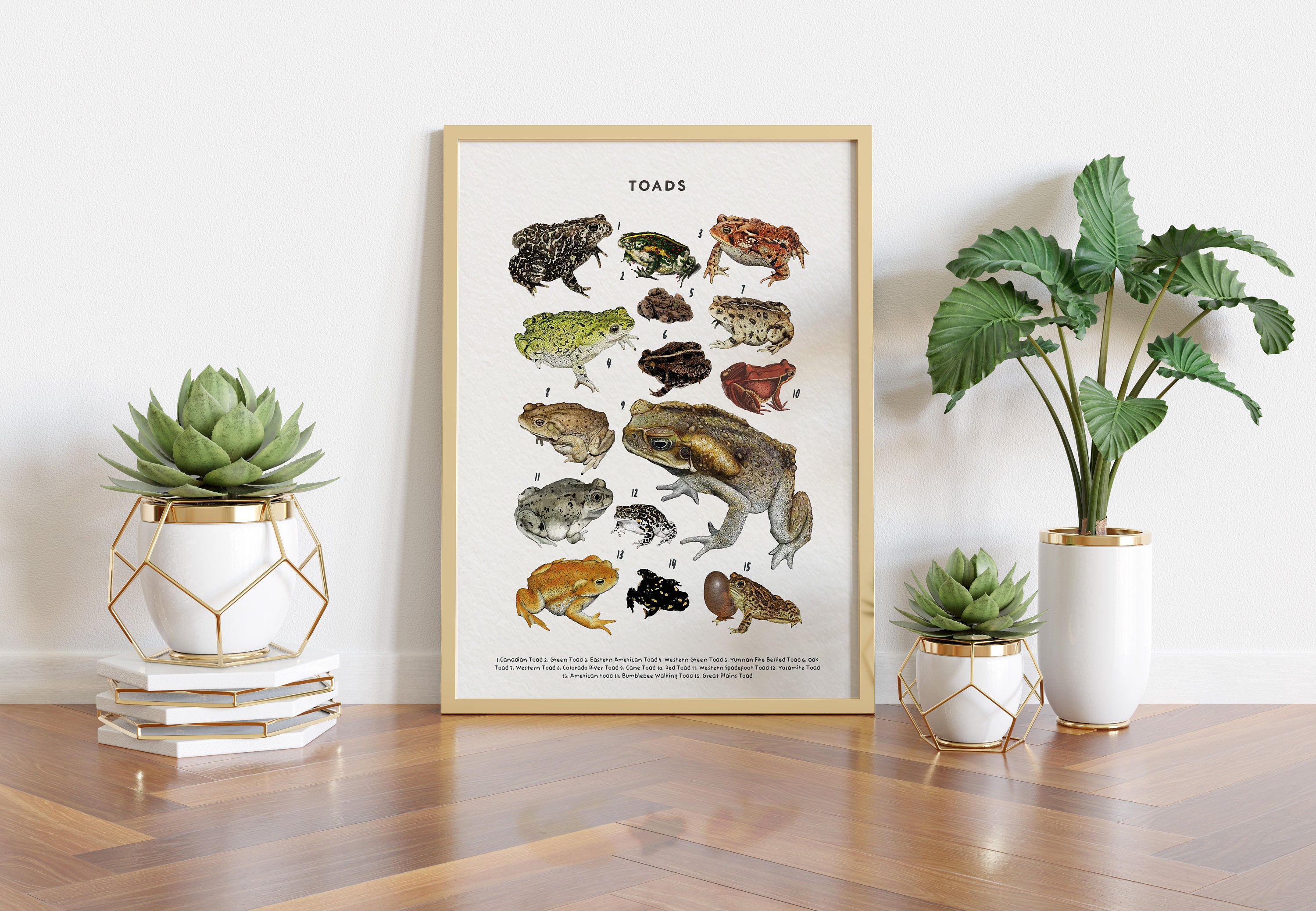Toads frogs Print, Toads Decor, Watercolor Frogs Wall Art, Forest ...