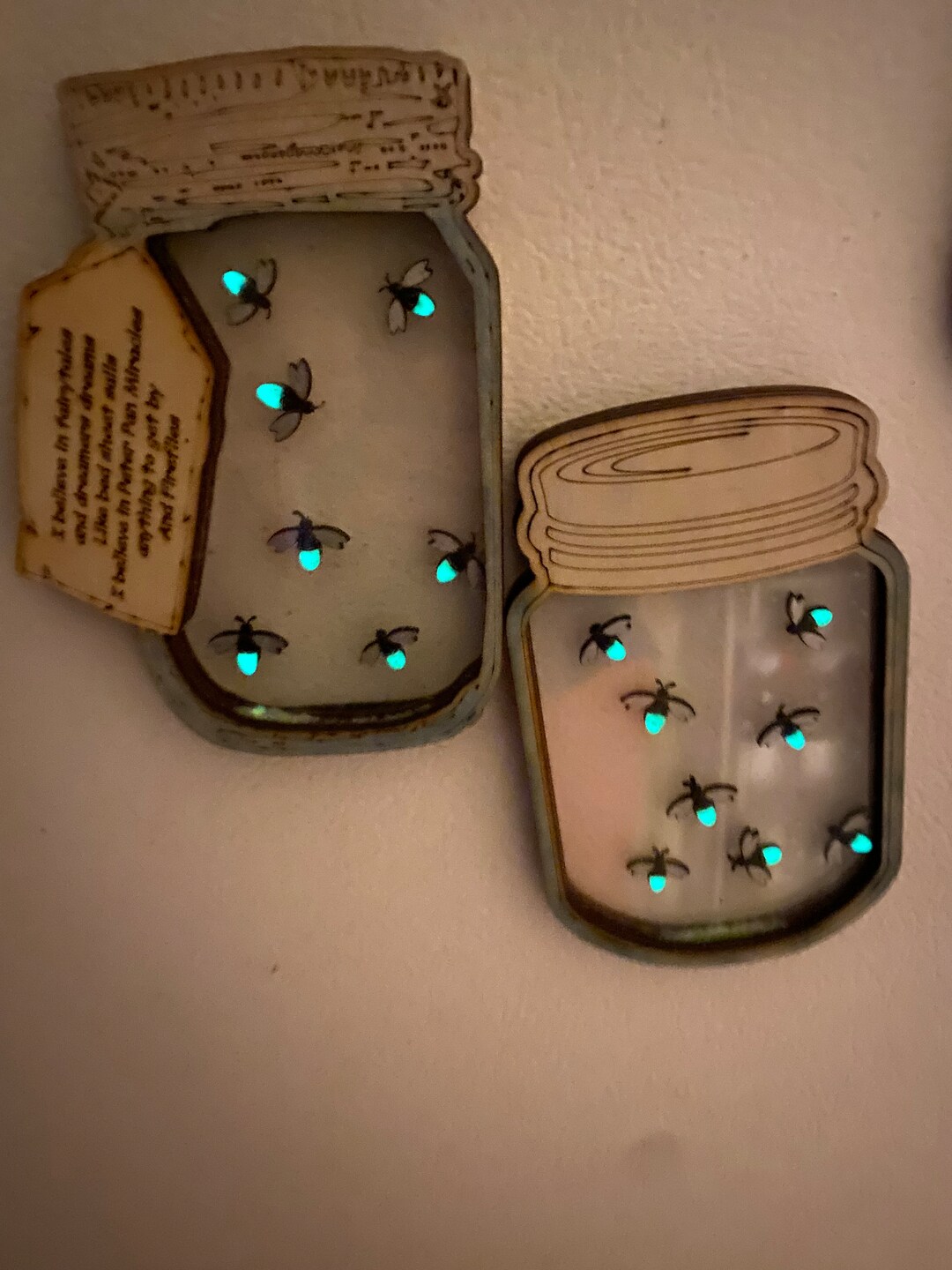 Fireflies in a Jar That Glow in the Dark - Etsy