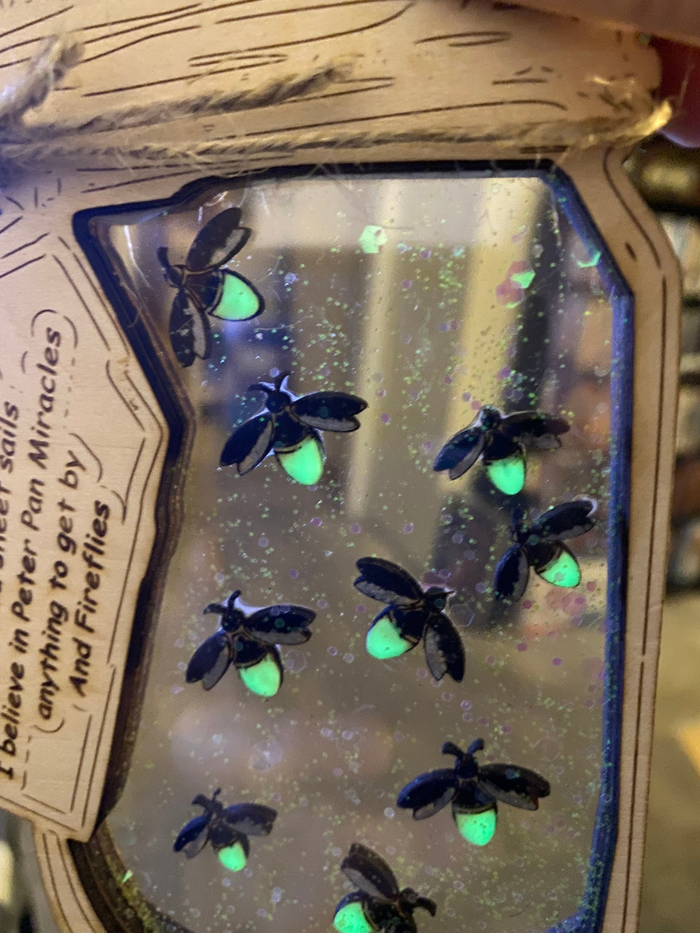 Fireflies in a Jar That Glow in the Dark - Etsy