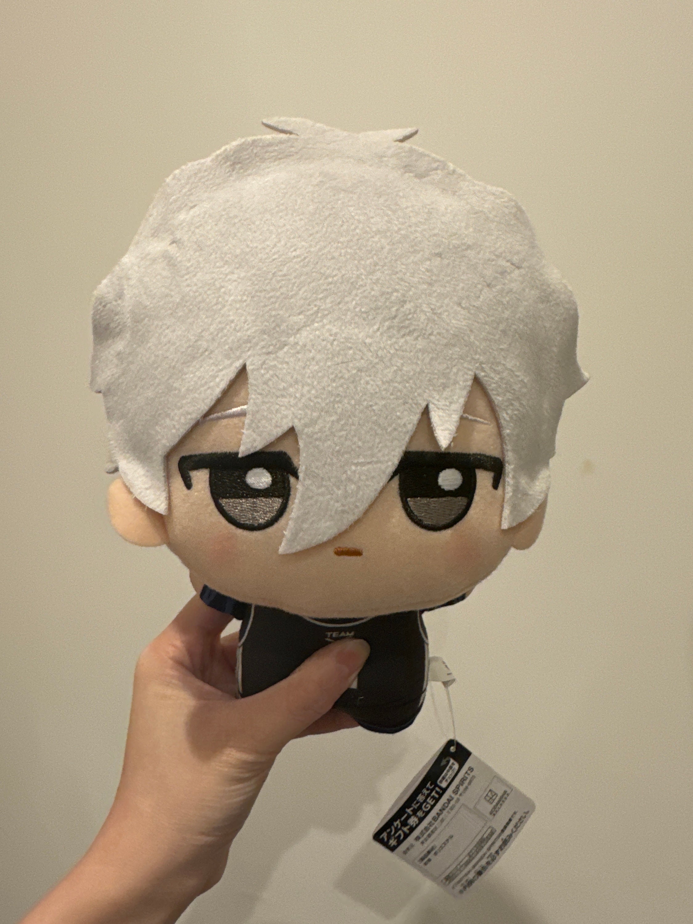 BLUE LOCK Anime Plush Doll Mini Cotton Doll Toys Limited Ver Keychains ...